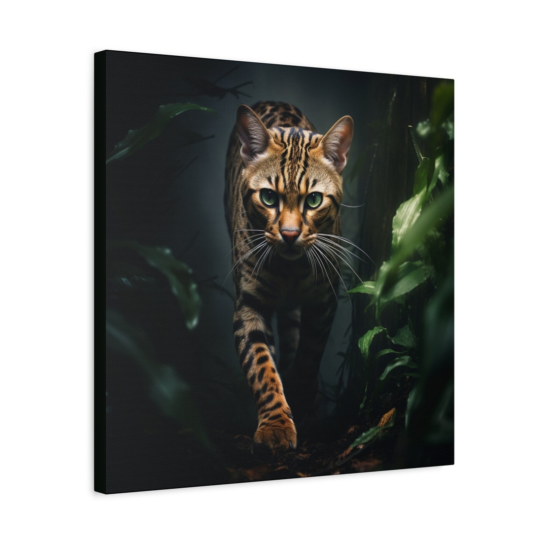 Bengal Cat Creeping in Crops Canvas - Etsy
