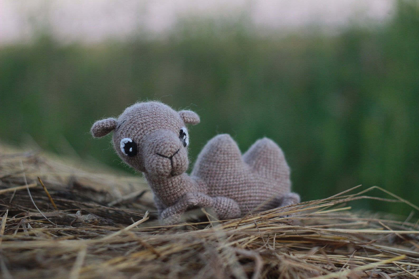 Crochet Camel Pattern Amigurumi Christmas Toy Pattern - Etsy