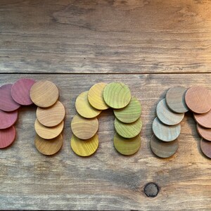 Rainbow Wooden Counting Tokens - Math Manipulative - Counting Coins ...