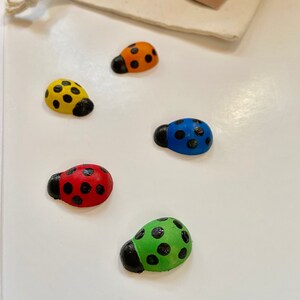 5 Little Ladybugs Spring Interactive Poetry Set - Dry Erase-friendly ...