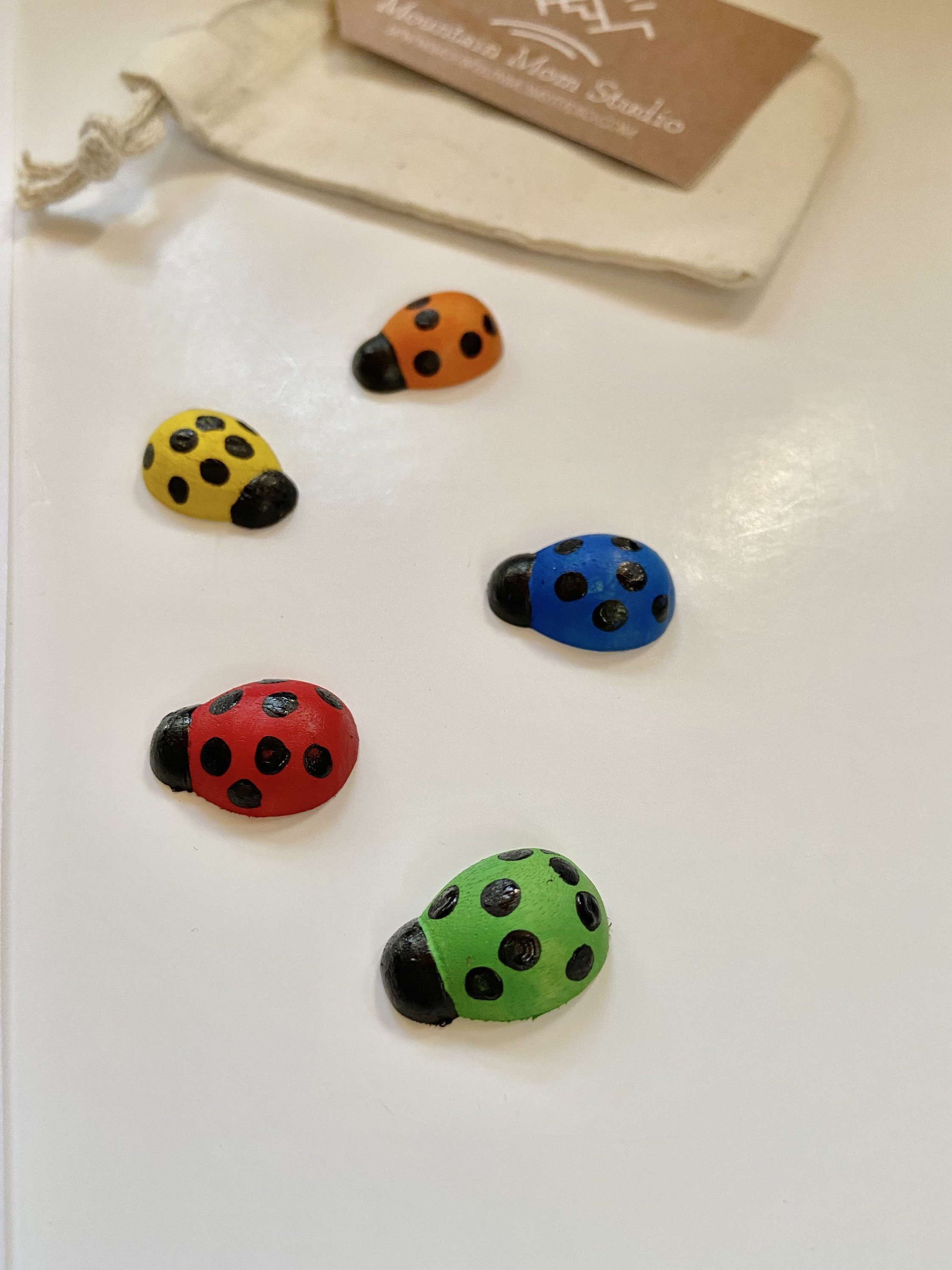 5 Little Ladybugs Spring Interactive Poetry Set - Dry Erase-friendly ...