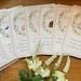 Core Values & Character Traits Cards, Wooden Tokens, +/or Wooden ...