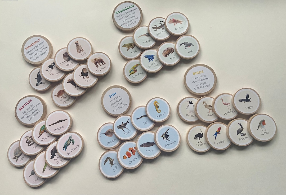 Animal Classification Learning Tokens + Magnets - Classify Animals -set ...