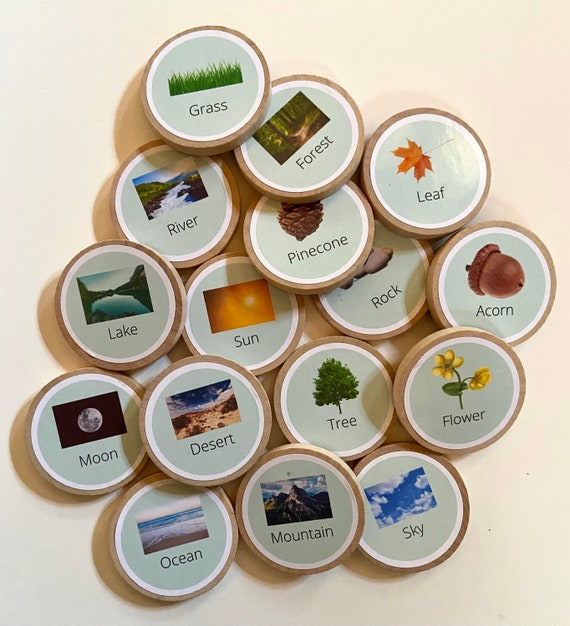 Nature and Habitats Wooden Learning Tokens and Magnets Set - Etsy