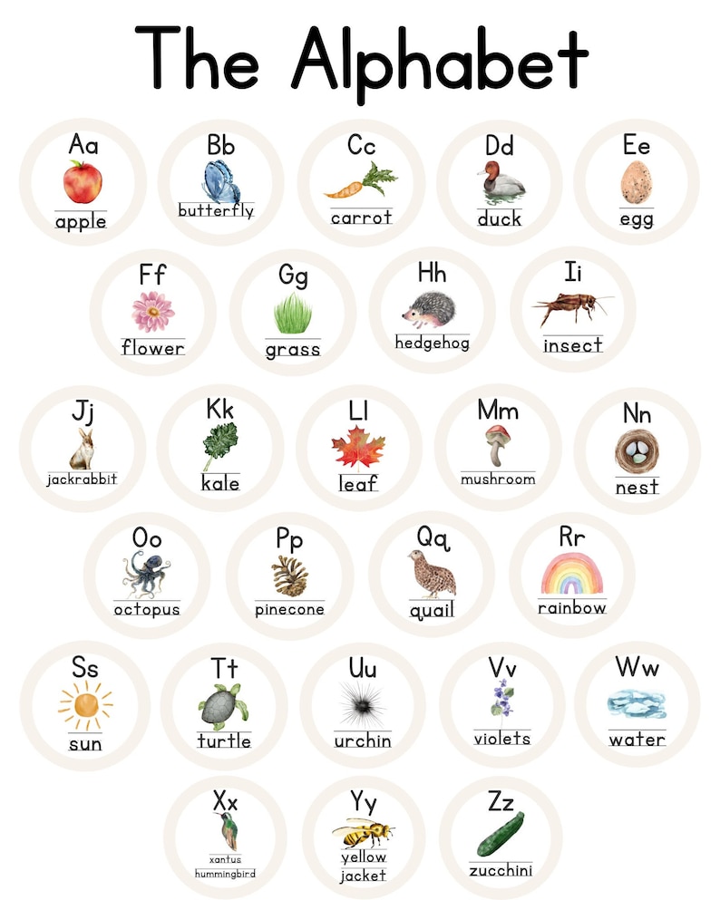 Nature-inspired Watercolor Alphabet Poster - Charlotte Mason ...