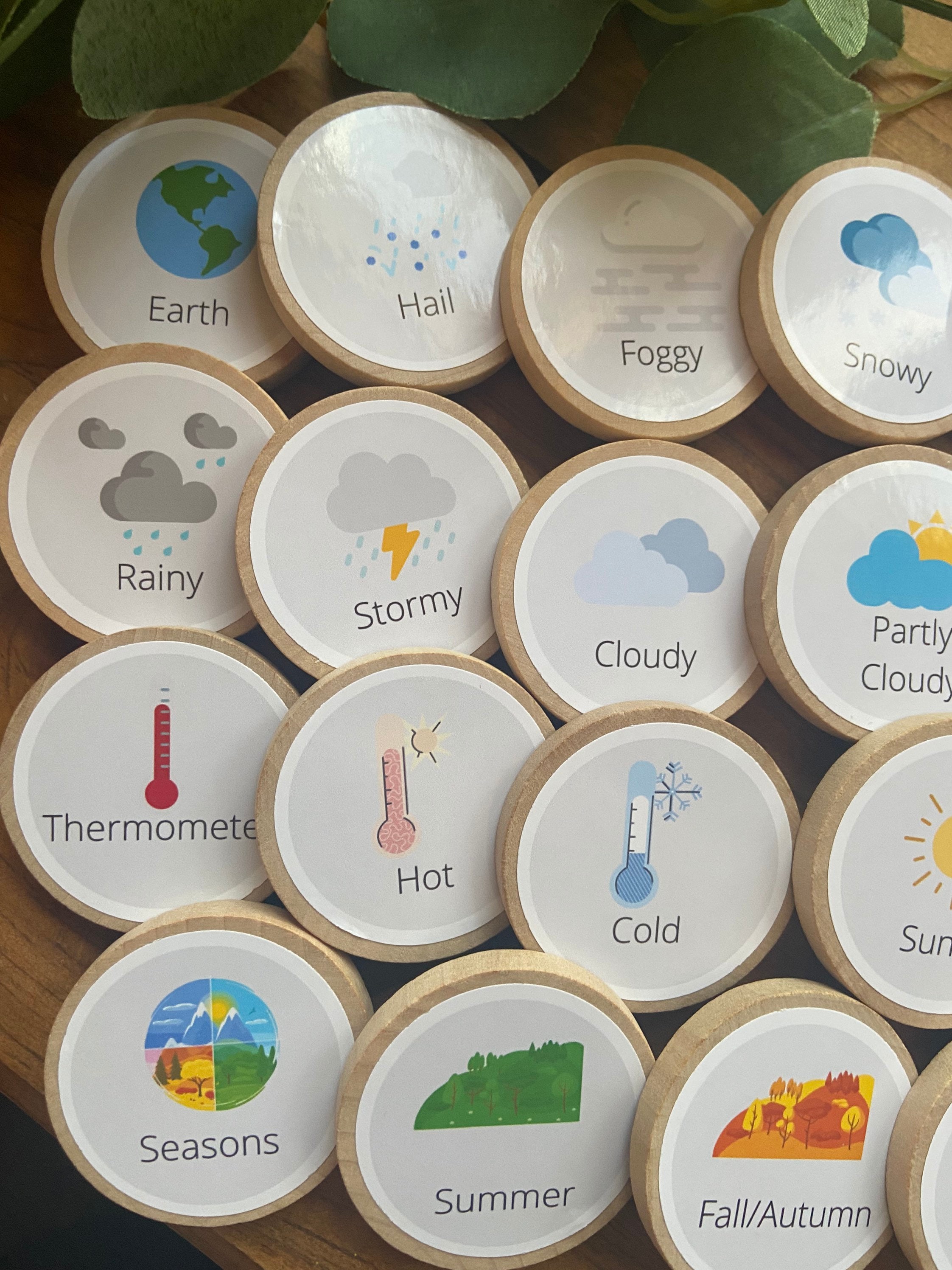 Weather and Seasons Wooden Learning Tiles Set of 20 | Etsy