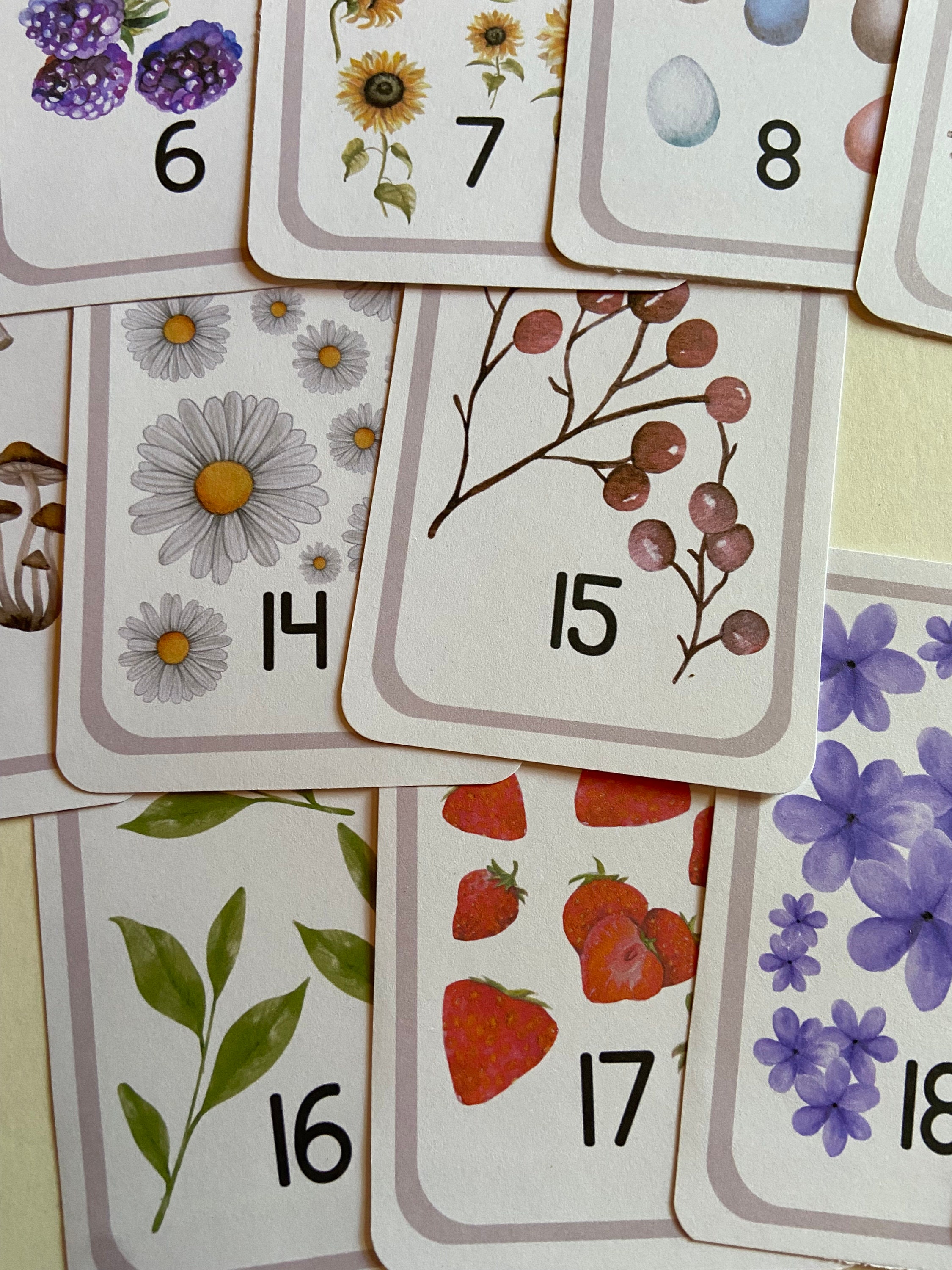 Nature-themed Bundle of Alphabet and Counting Flashcards - Charlotte ...