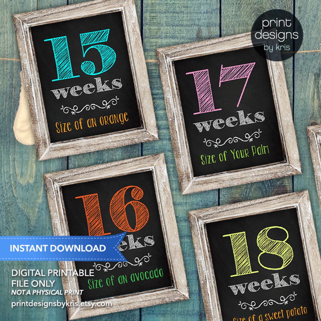 Weekly Pregnancy Sign - Week by Week Belly Sign - Week by Week ...