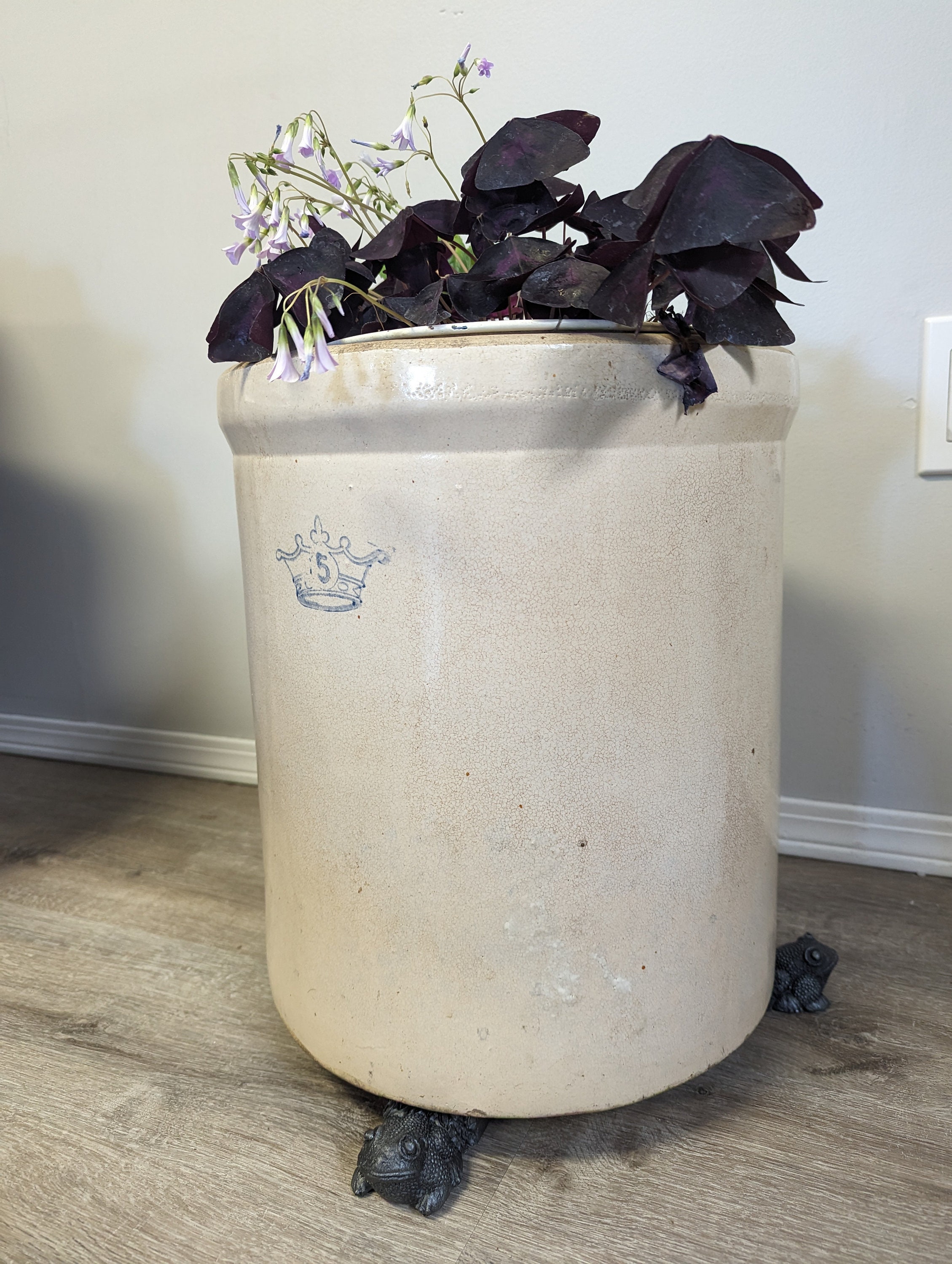 Frog Feet Planter Pot Feet - Etsy