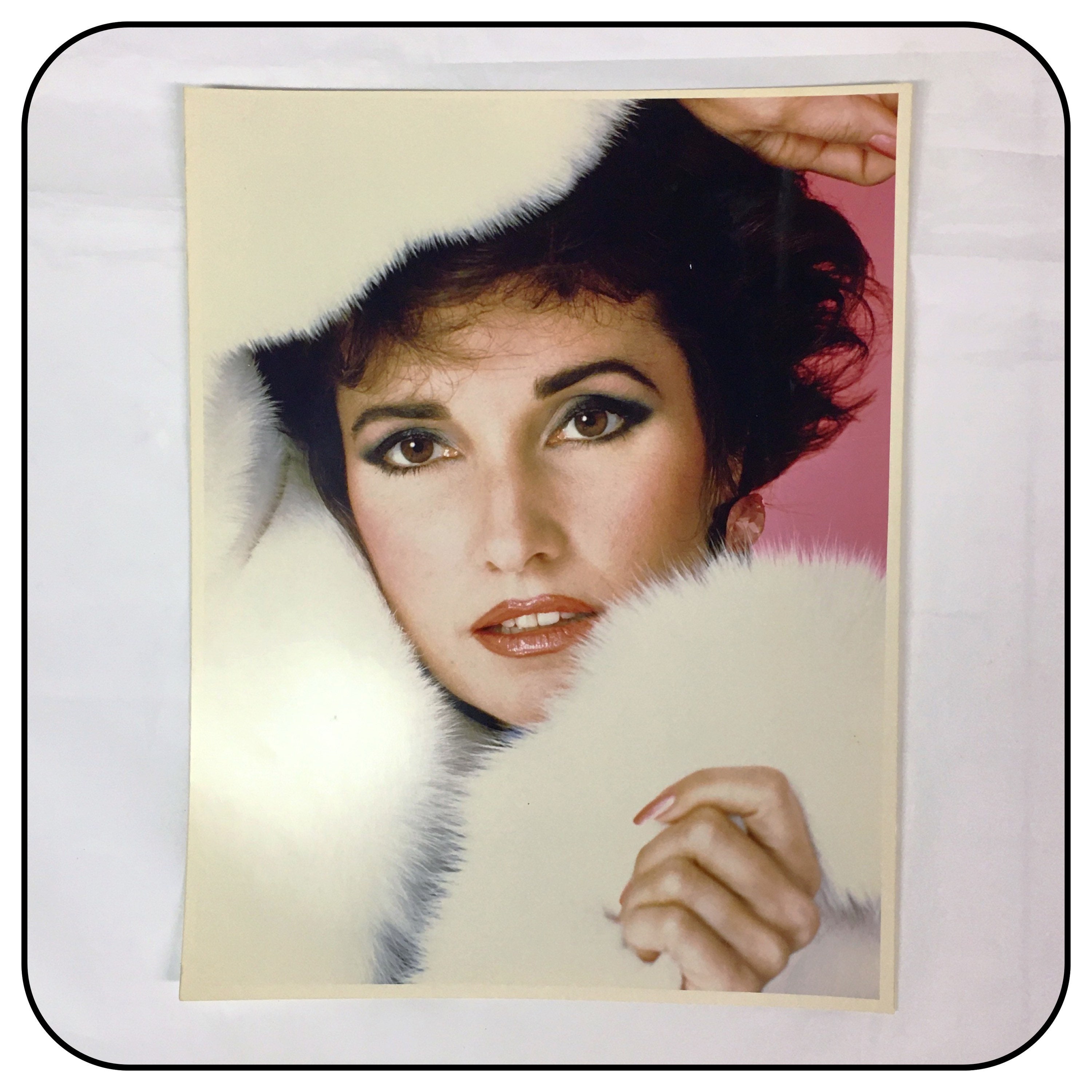 ABC Daytime Soap Opera Television Series Press Photo susan Lucci, 1980 ...