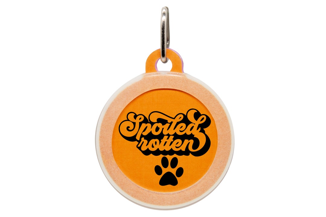 Spoiled Rotten Silent Pet Name Tag, Microchipped Cat Tag, Kitten Collar ...