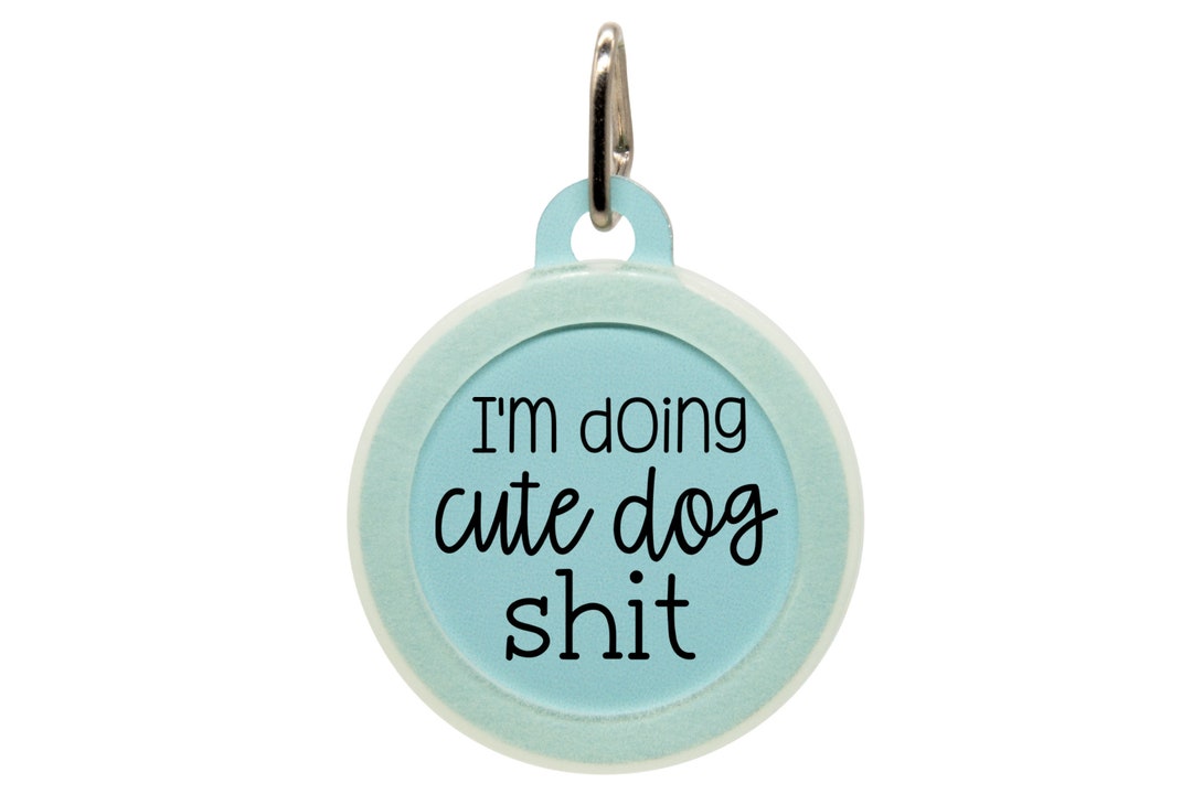 Funny Dog Tag, Cute Pet ID Tag, Custom Dog Name Tag, Trendy Puppy ...