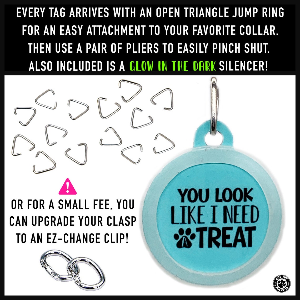 Squirrel Chaser Dog ID Tag Circle Dog Tags with Address Two | Etsy