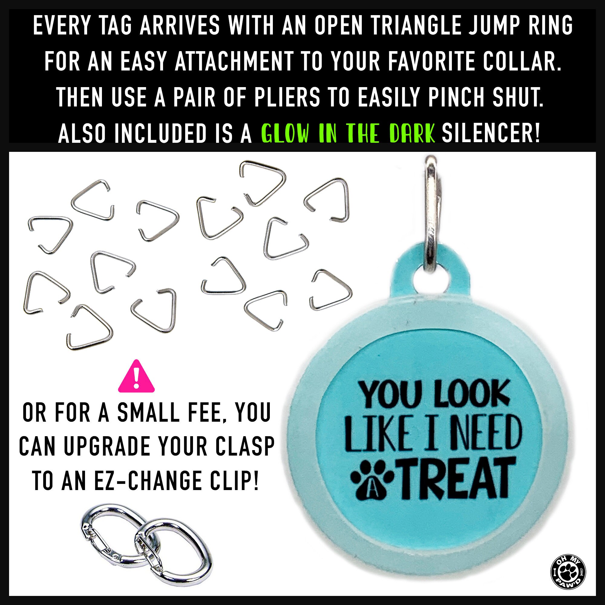 Squirrel Chaser Dog ID Tag Circle Dog Tags With Address Two - Etsy