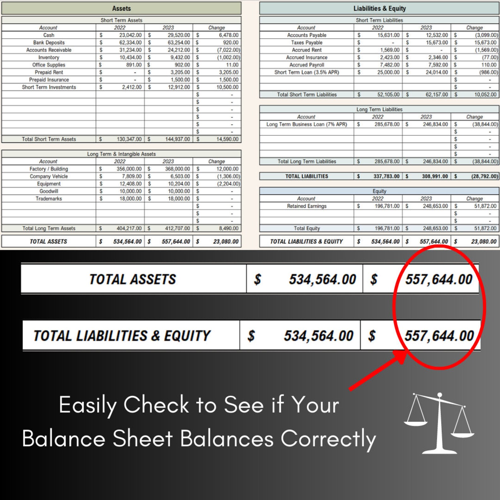 Simple Balance Sheet Spreadsheet Template Basic Balance - Etsy