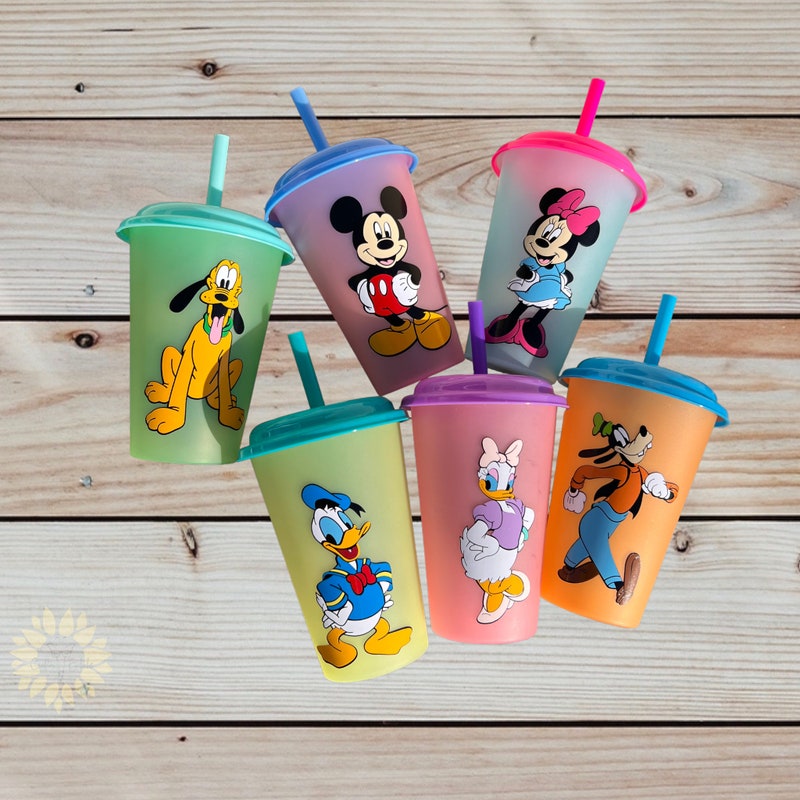 Mickey Tervis - Etsy