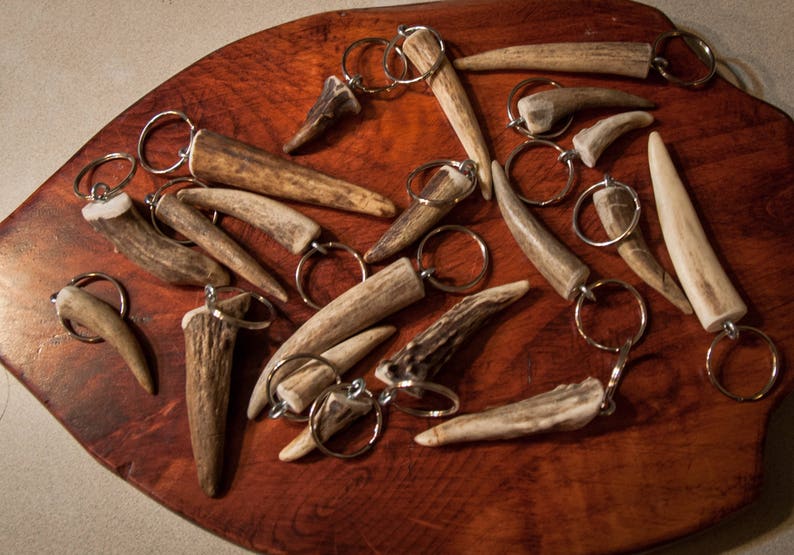 Real Antler Keychain: Handcrafted Deer or Elk Shed - Etsy