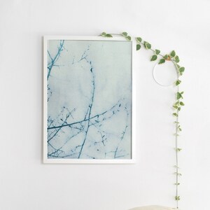 Abstract Winter Botanical Cyanotype Art Print, Modern Nature Art for ...