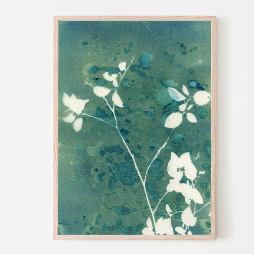 Cyanotype Botanical Wall Art Print UNDERWATER FLORAL - Etsy