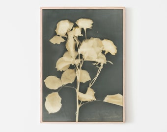 Printable Botanical Art Flower Cyanotype Print Instant - Etsy