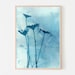 Cyanotype Print Botanical Wall Art, Blue Queen Anne Flower Bouquet, Wet ...