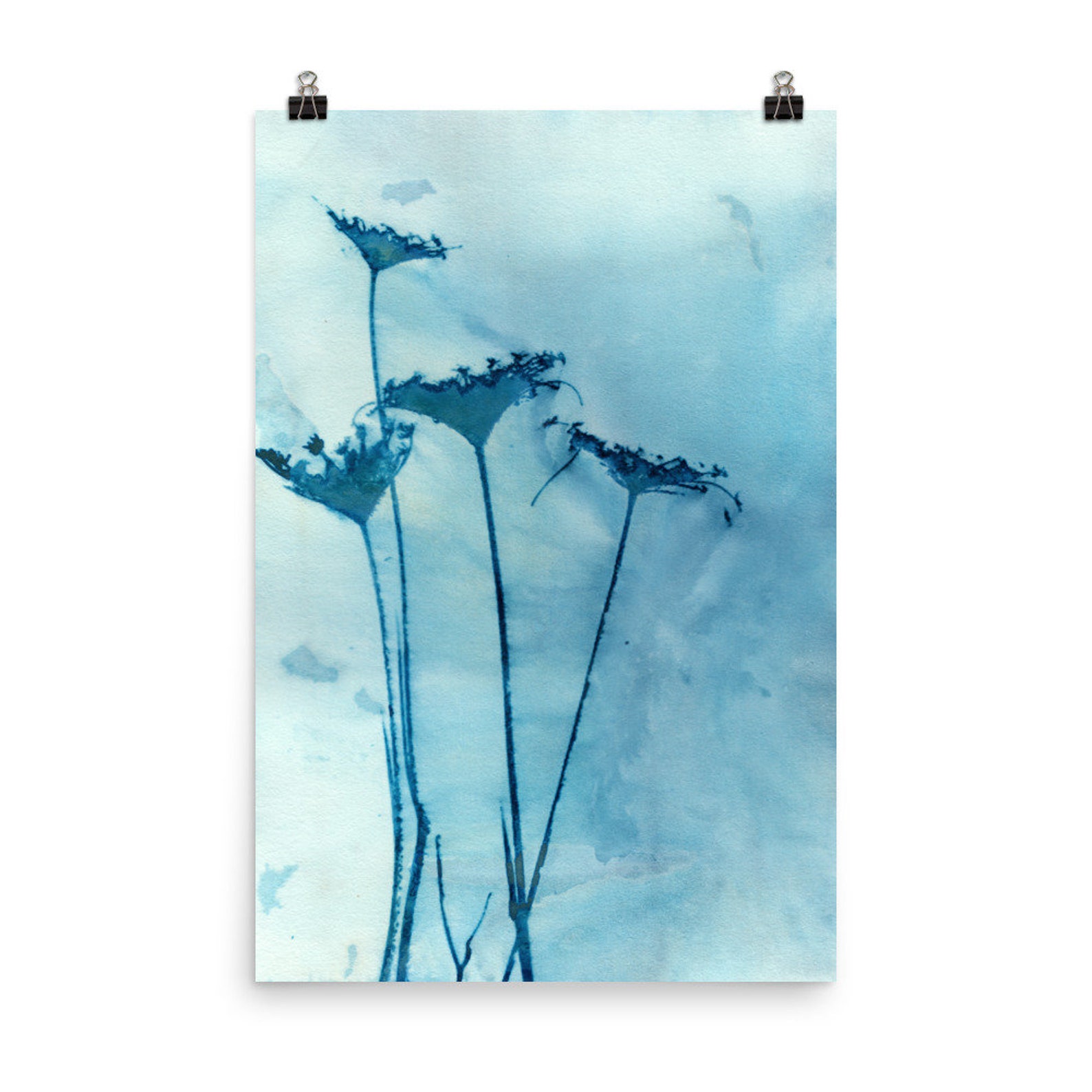 Cyanotype Print Botanical Wall Art Blue Queen Anne Flower - Etsy