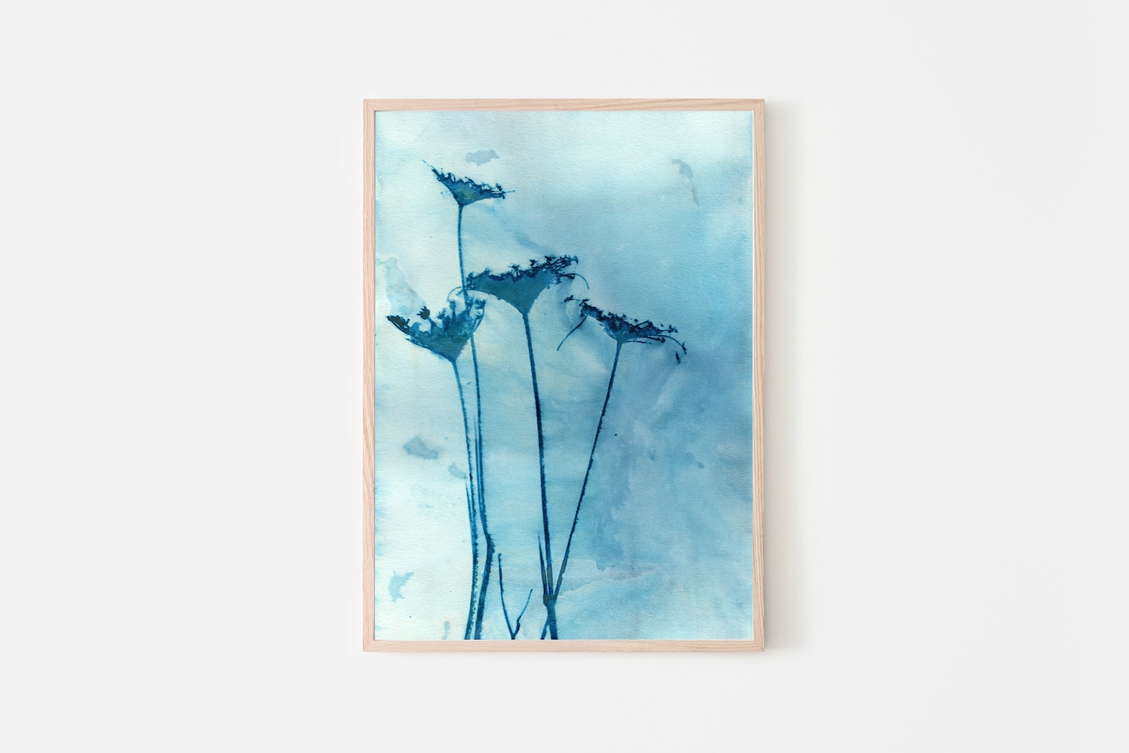 Cyanotype Print Botanical Wall Art Blue Queen Anne Flower - Etsy
