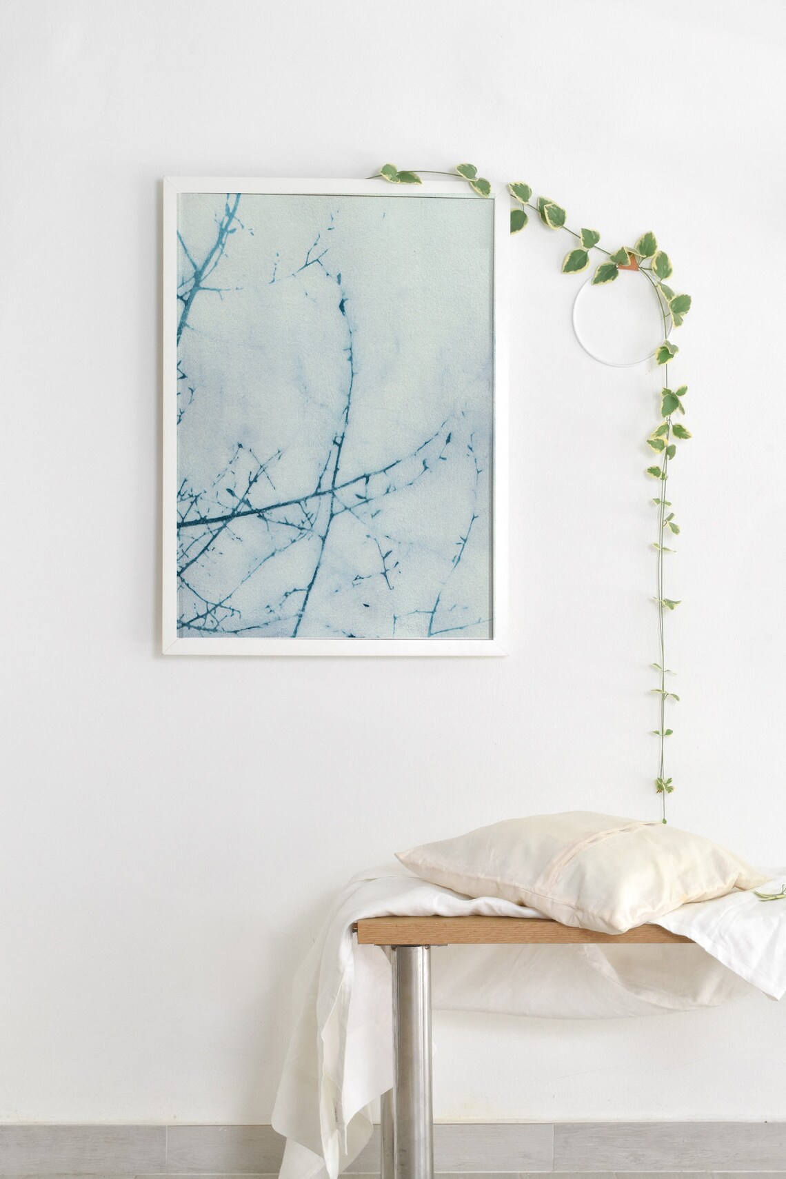 Abstract Winter Botanical Cyanotype Art Print Modern Nature - Etsy