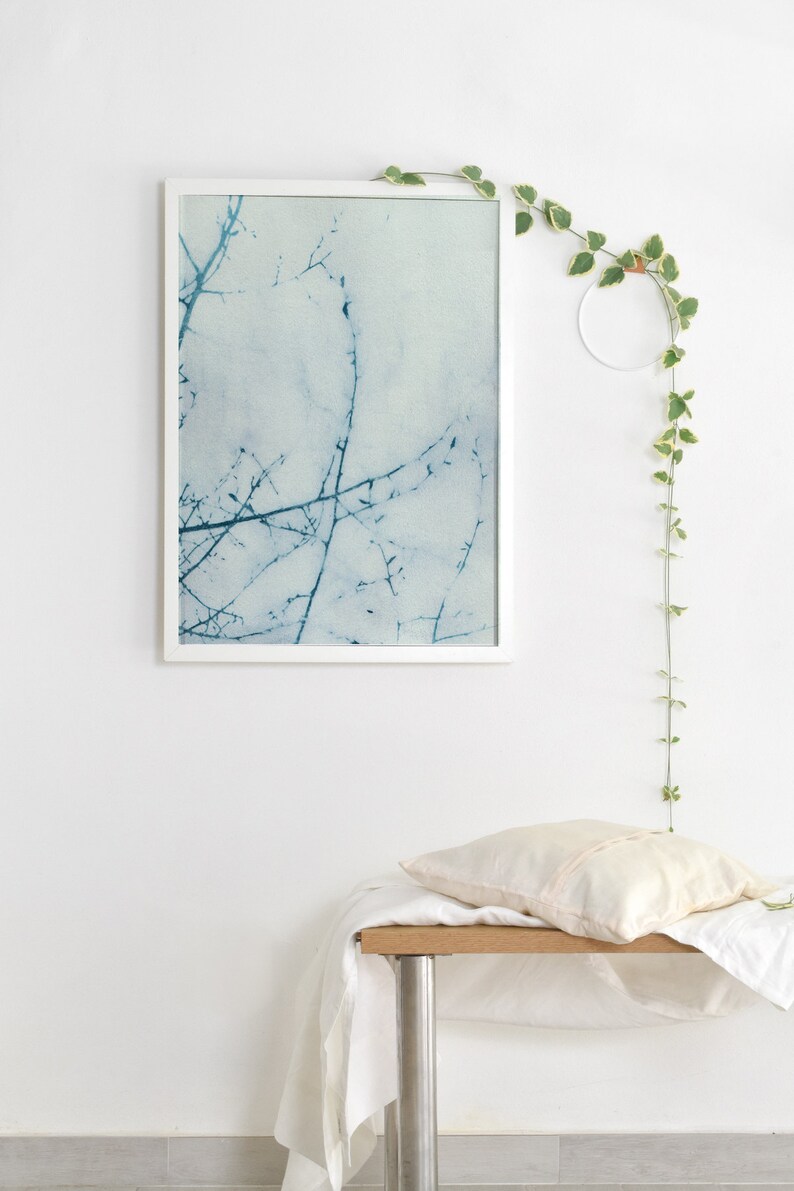Abstract Winter Botanical Cyanotype Art Print Modern Nature - Etsy