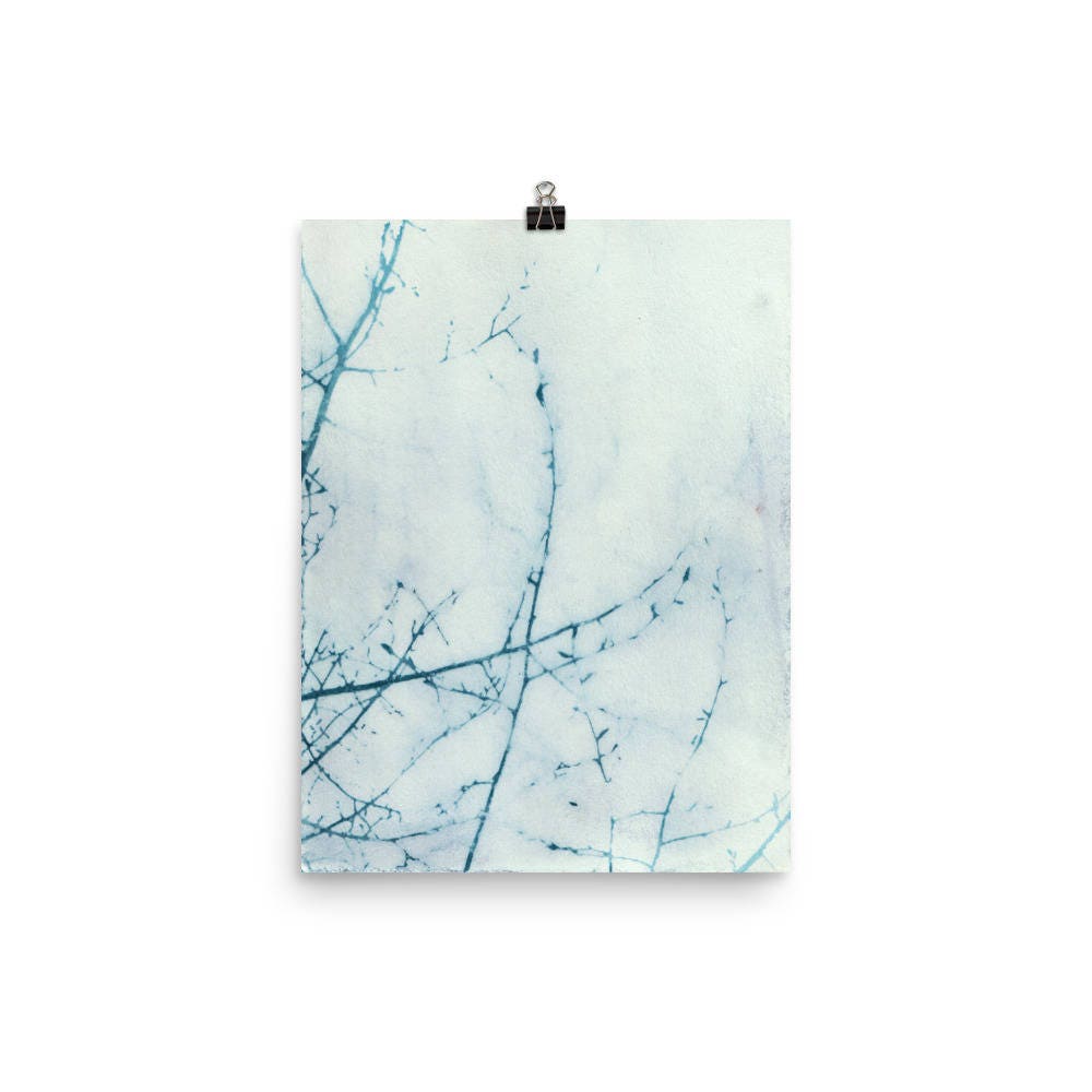 Abstract Winter Botanical Cyanotype Art Print Modern Nature | Etsy