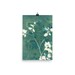 Cyanotype Botanical Wall Art Print UNDERWATER FLORAL - Etsy