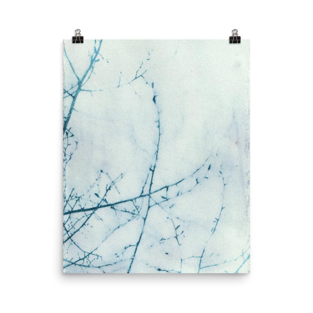 Abstract Winter Botanical Cyanotype Art Print Modern Nature | Etsy
