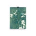 Cyanotype Botanical Wall Art Print UNDERWATER FLORAL - Etsy
