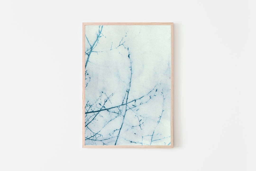 Abstract Winter Botanical Cyanotype Art Print, Modern Nature Art for ...