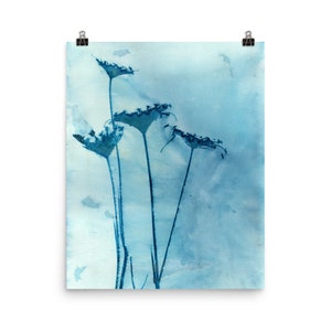 Cyanotype Print Botanical Wall Art, Blue Queen Anne Flower Bouquet, Wet ...