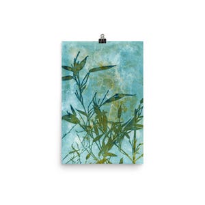 Art Print LEAFY BAMBOO Cyanotype Print - Etsy