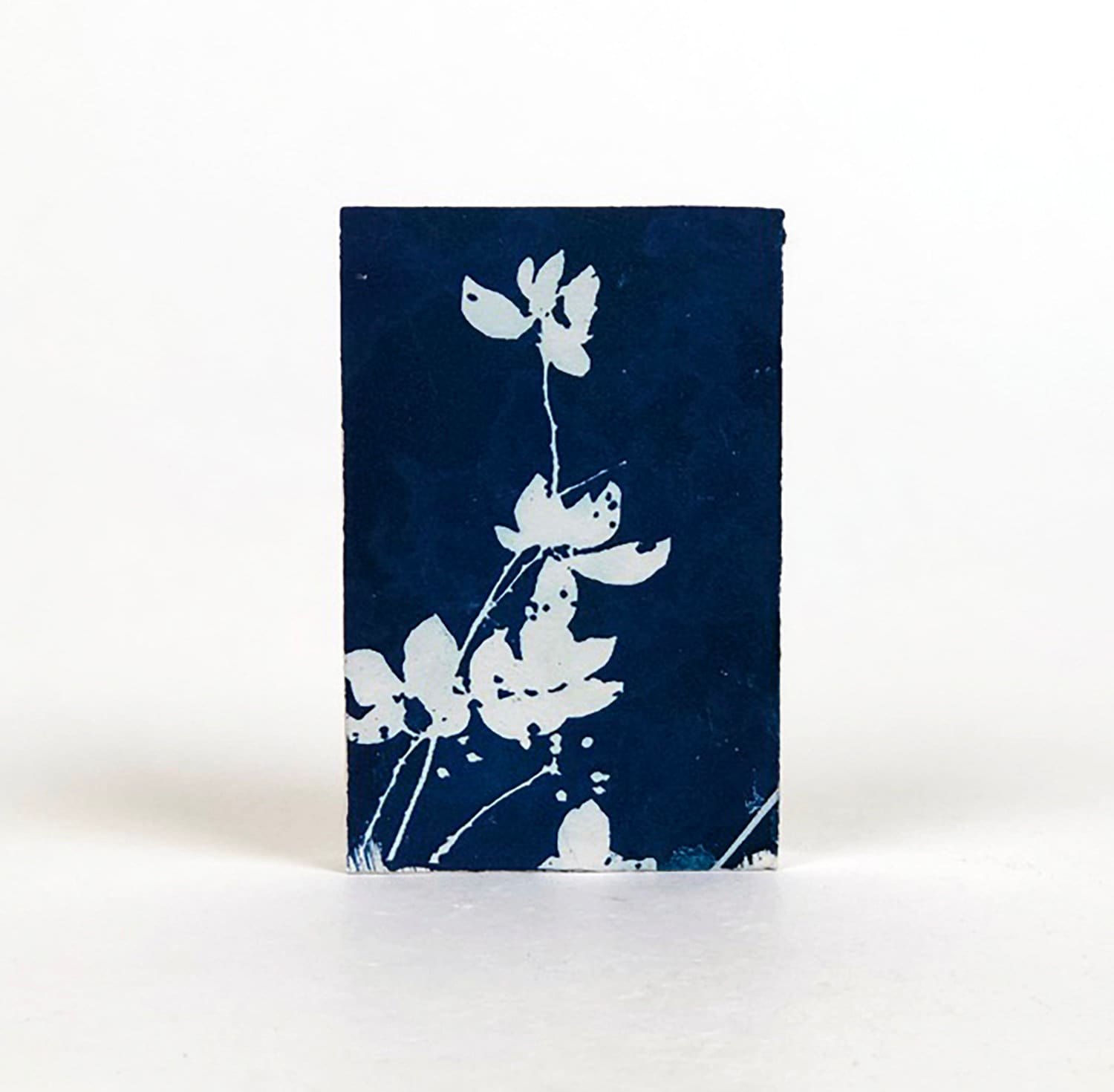Original Art Botanical Cyanotype Print on Wood Panel Nature - Etsy