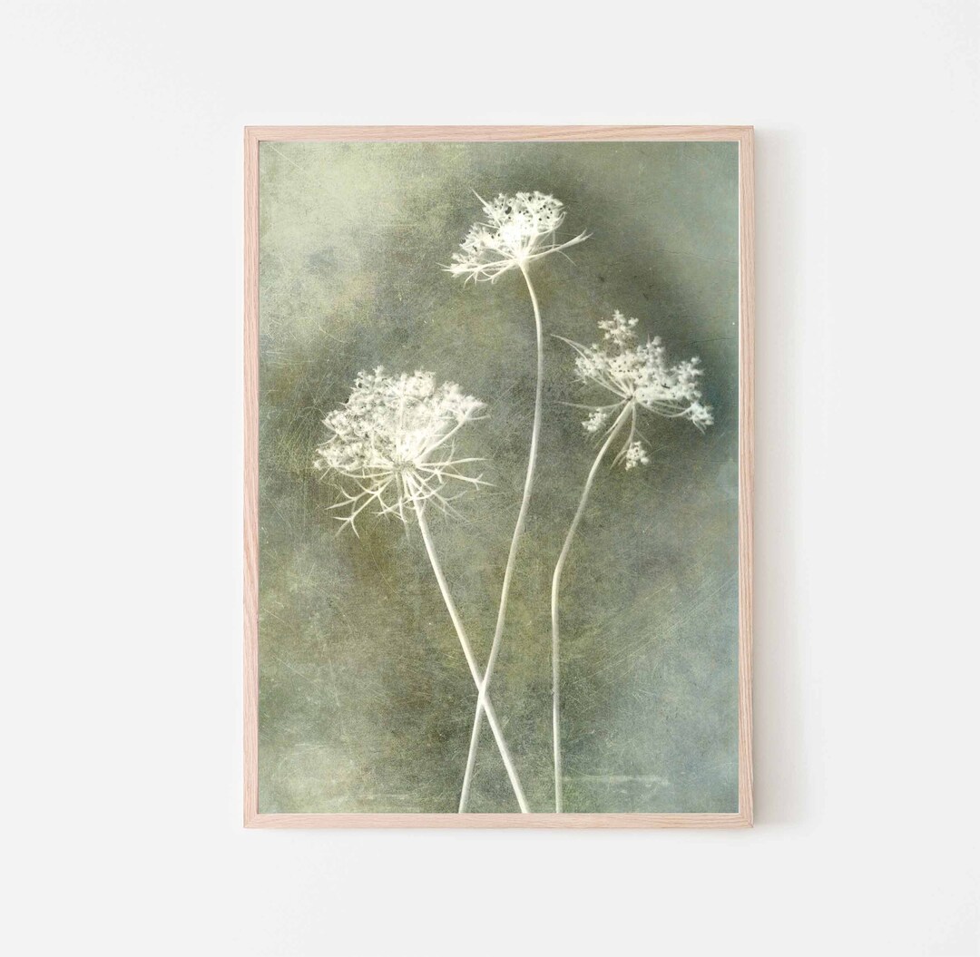 Printable Botanical Wall Art, in the Mist Lumen Print, Plant Blooms ...