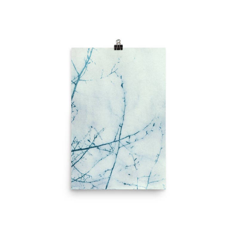 Abstract Winter Botanical Cyanotype Art Print Modern Nature - Etsy