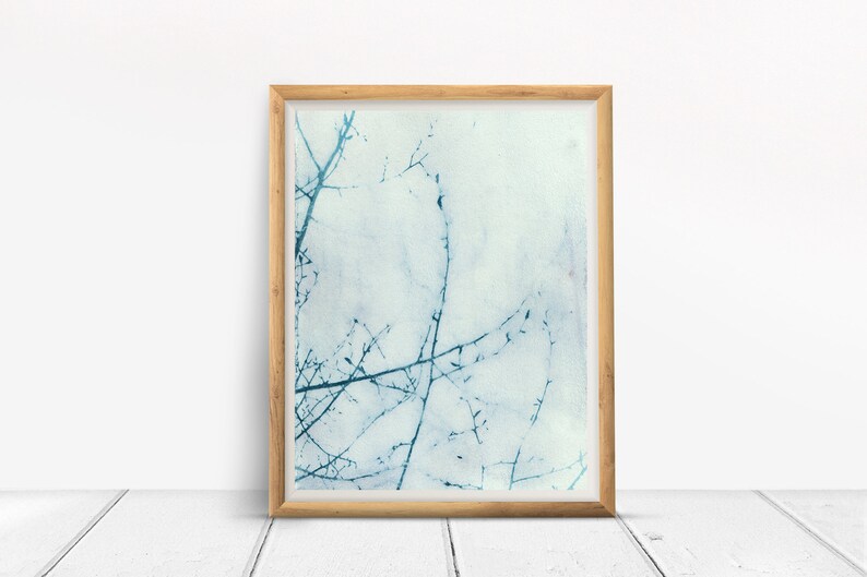 Abstract Winter Botanical Cyanotype Art Print Modern Nature - Etsy