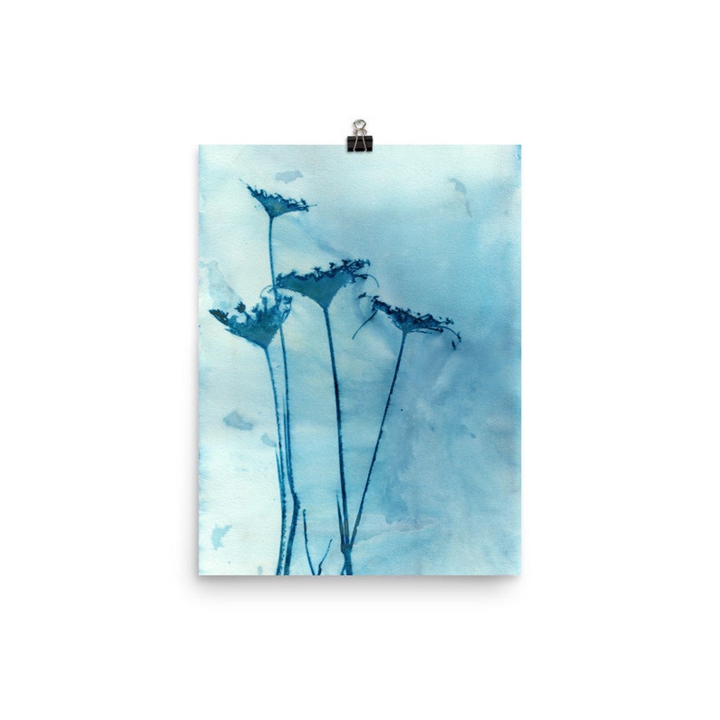Cyanotype Print Botanical Wall Art Blue Queen Anne Flower - Etsy