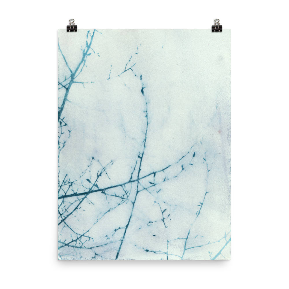 Abstract Winter Botanical Cyanotype Art Print Modern Nature | Etsy