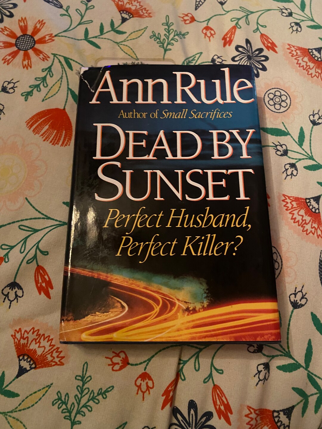 Vintage 1995 Ann Rule - Dead by Sunset - Hardcover W/ Dustjacket - True Crime - Etsy