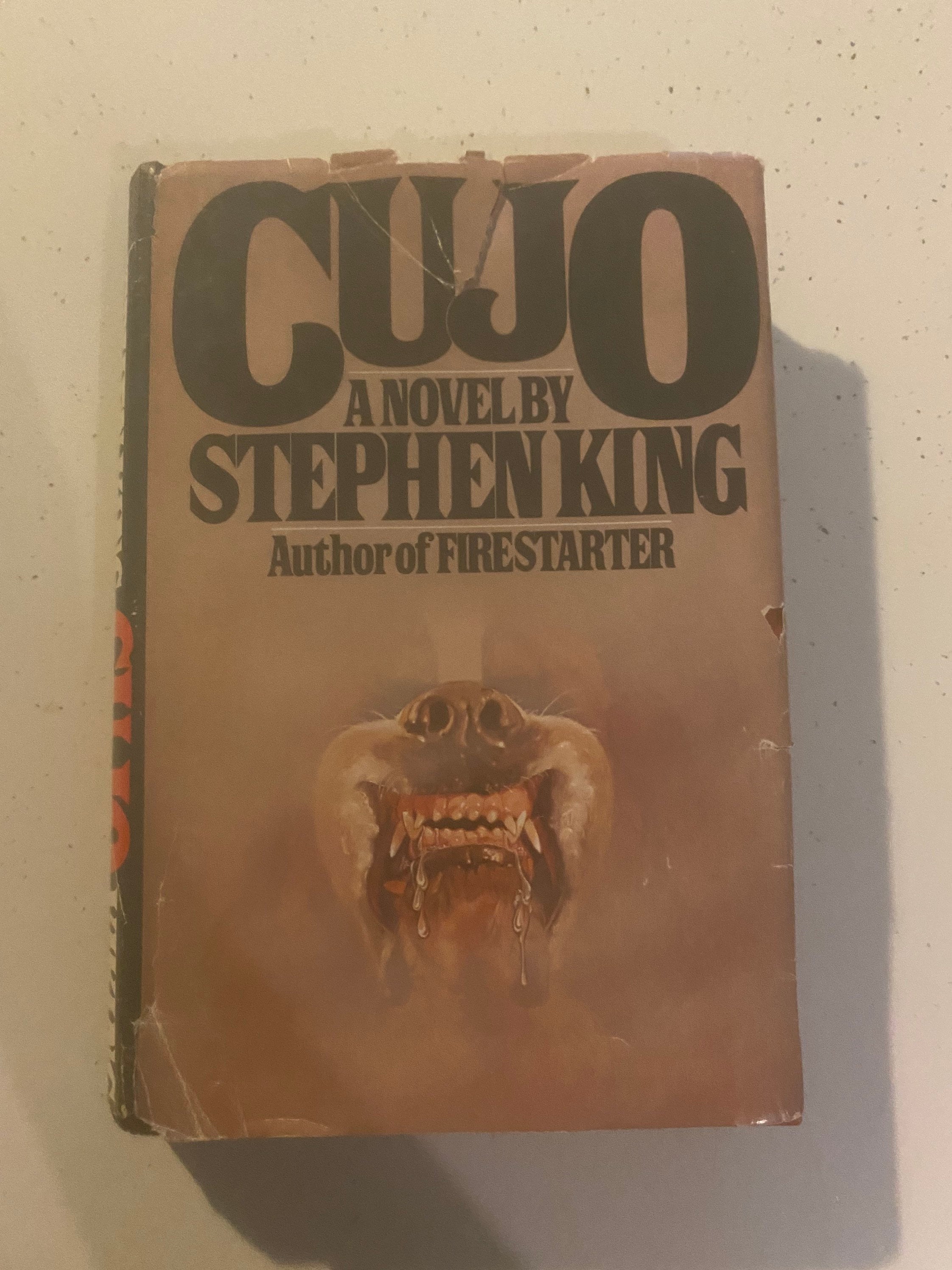 Cujo Stephen King Book