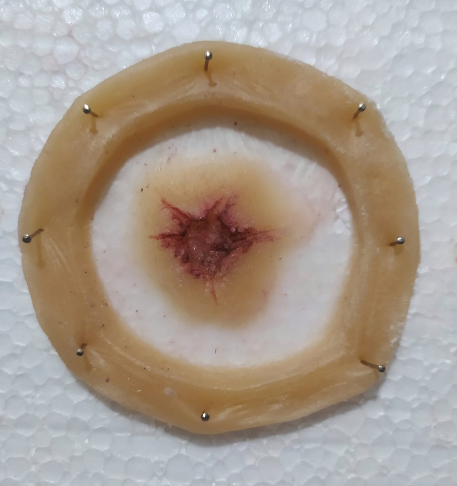 Gunshot Wound Silicone Prosthetics Set / SFX Makeup Costume - Etsy