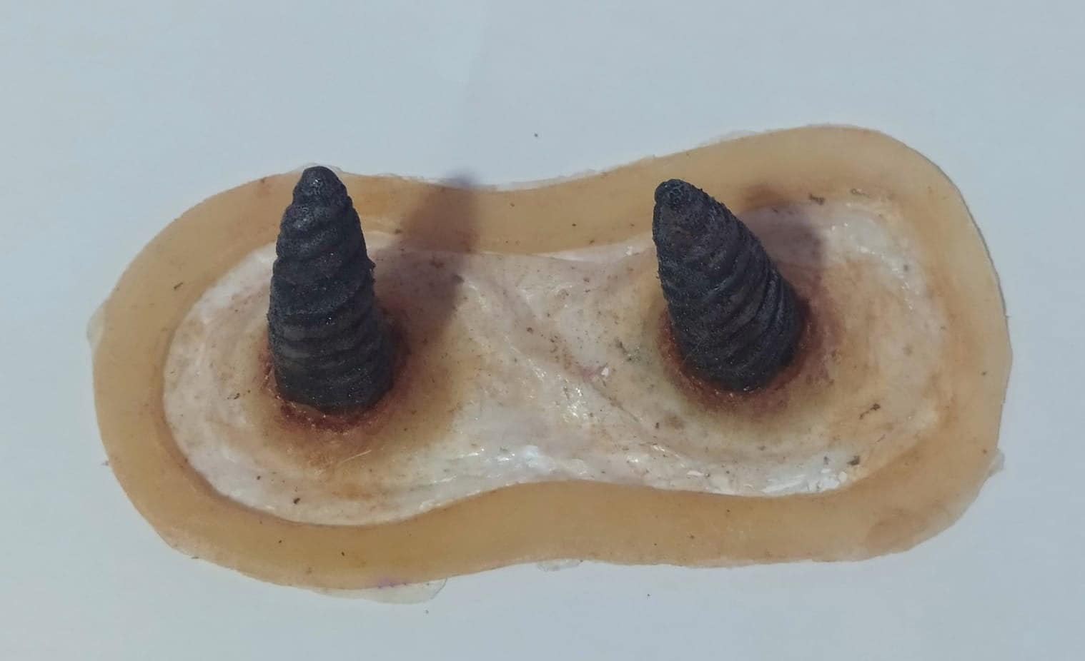 Small Devil Horns Silicone Prosthetic / SFX Makeup Costume | Etsy