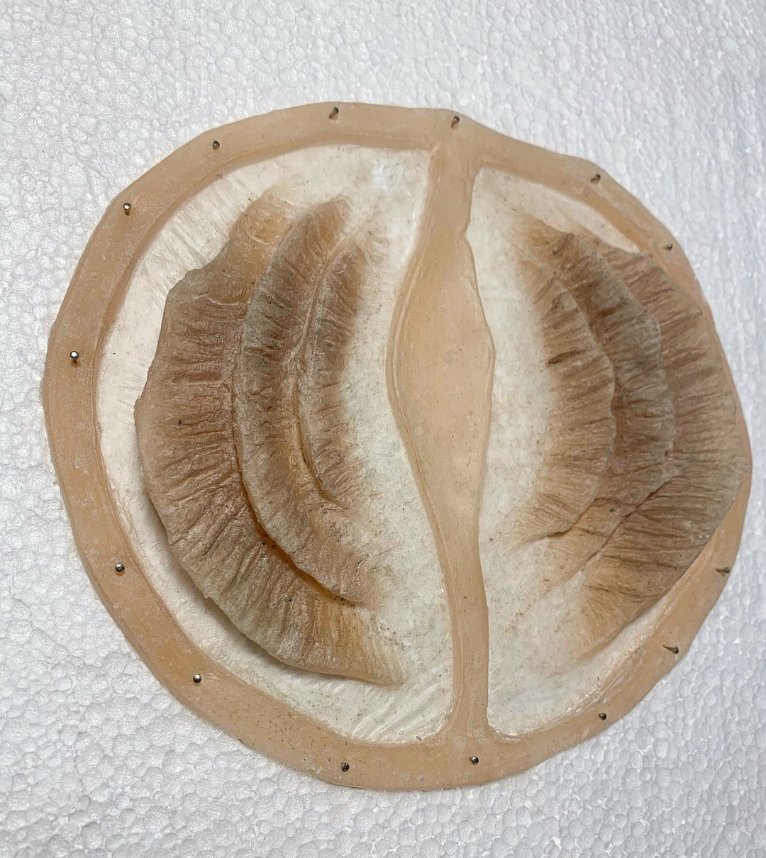 Mermaid Gill Silicone Prosthetic Pack / SFX Makeup Costume Siren Lagoon ...