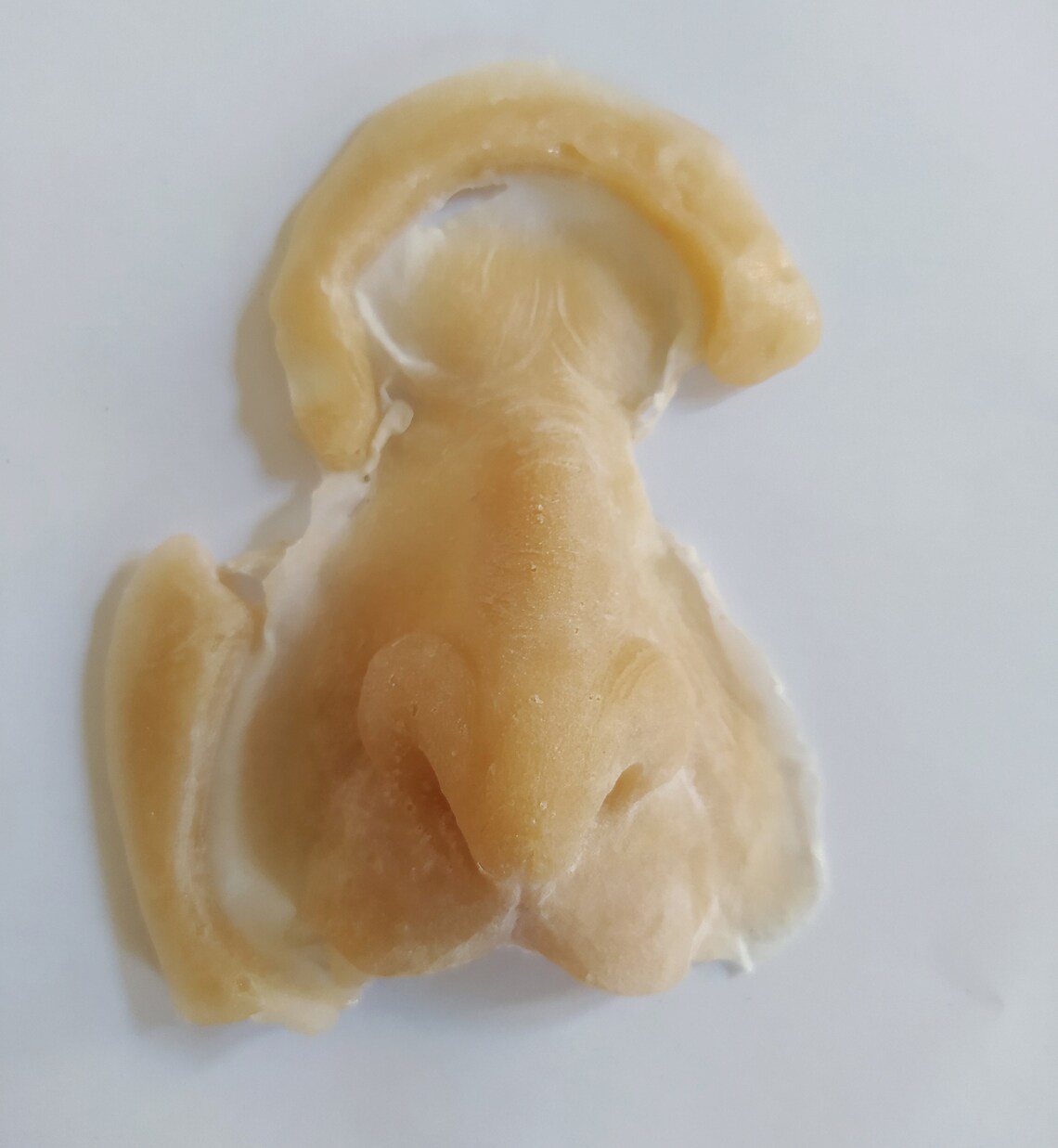 Rat Witch Nose Silicone Prosthetic / SFX Makeup Costume Wound - Etsy