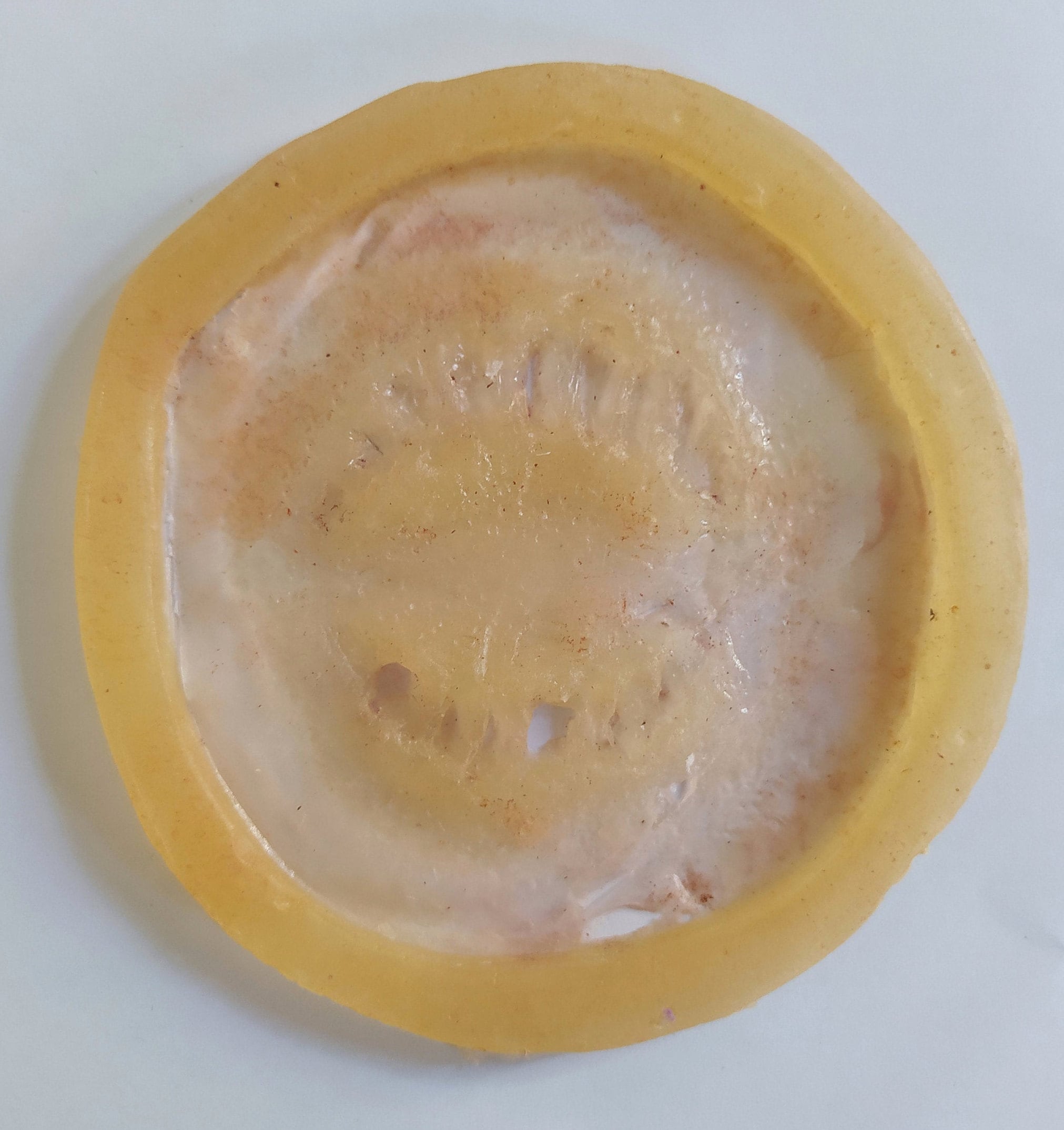 Zombie Bite Mark Silicone Prosthetic / SFX Makeup Costume - Etsy