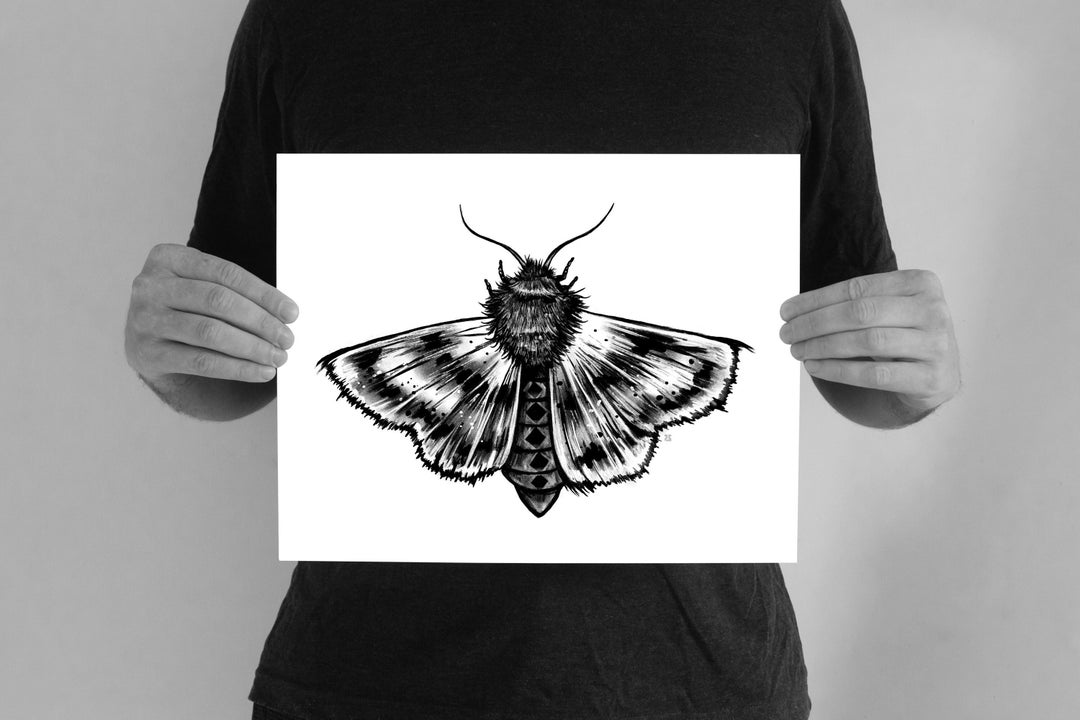 Just A Moth - 11" X 14" Art Print. Gothic. Bug. Insect. - Etsy